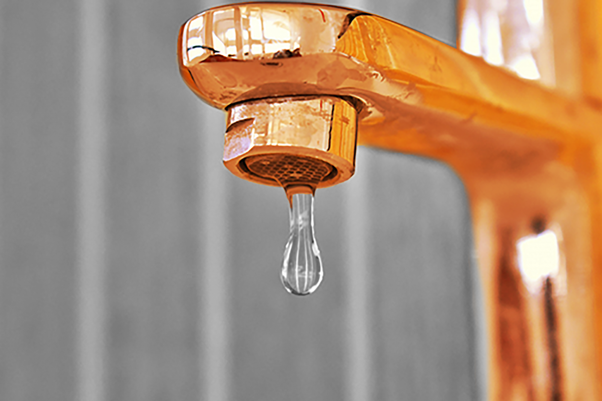 Conserving Water at Home